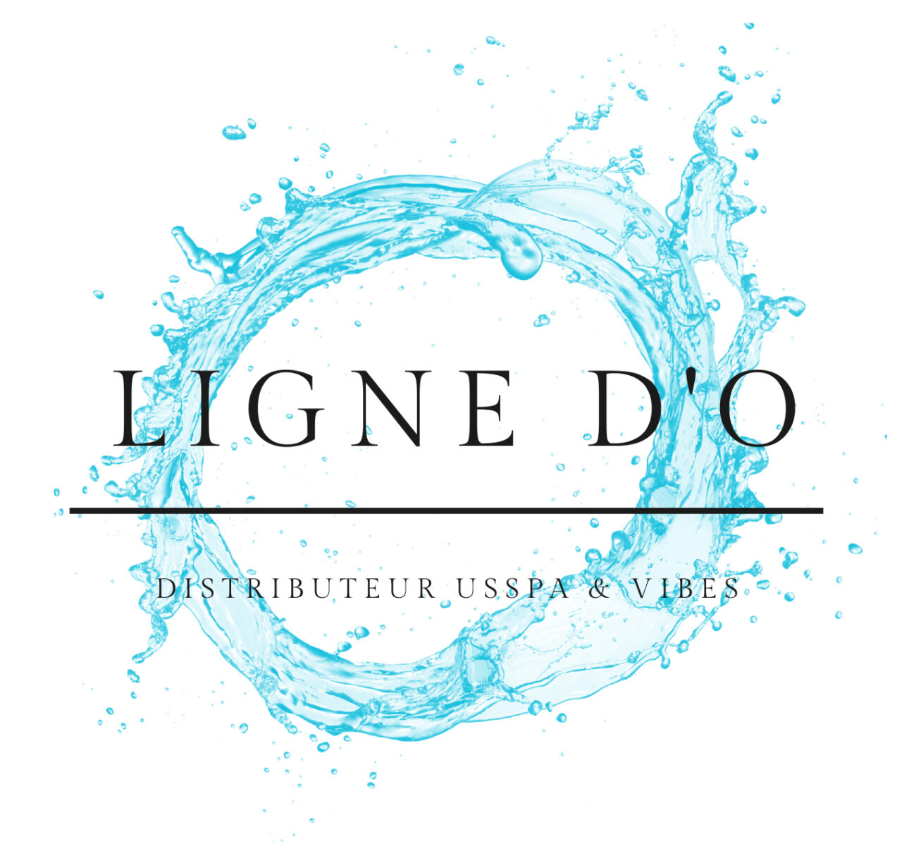 Vente de spa de nage en Haute Savoie | Installateur de spa a Douvaine ...